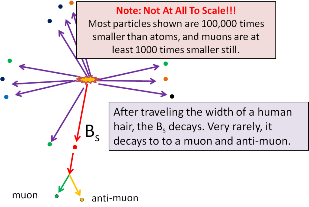 A Rare and Interesting Decay of a “B meson” – update 2 – Of Particular ...