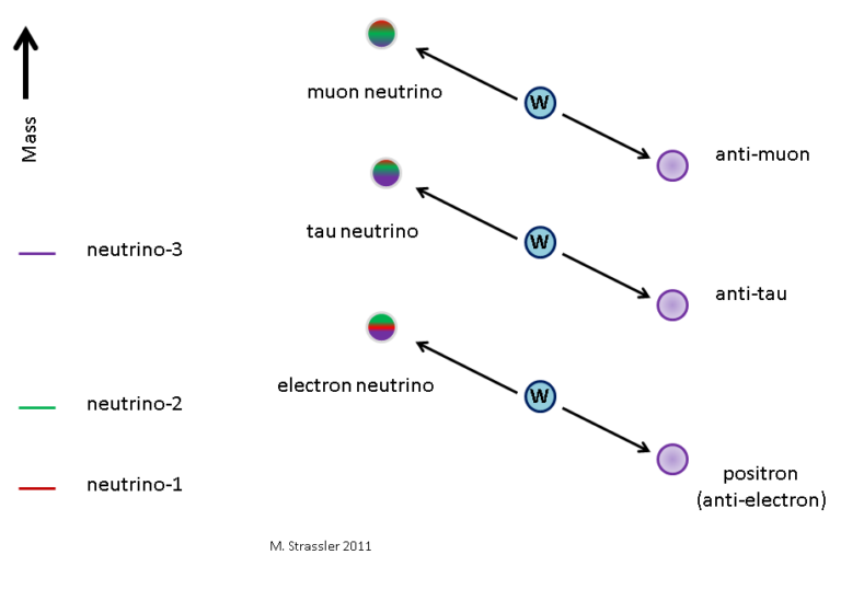 Neutrino Types and Neutrino Oscillations – Of Particular Significance