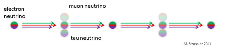 Neutrino Types and Neutrino Oscillations – Of Particular Significance