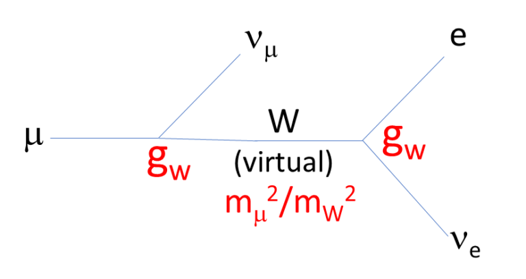 The Standard Model More Deeply: Masses, Lifetimes and Forces – Of ...
